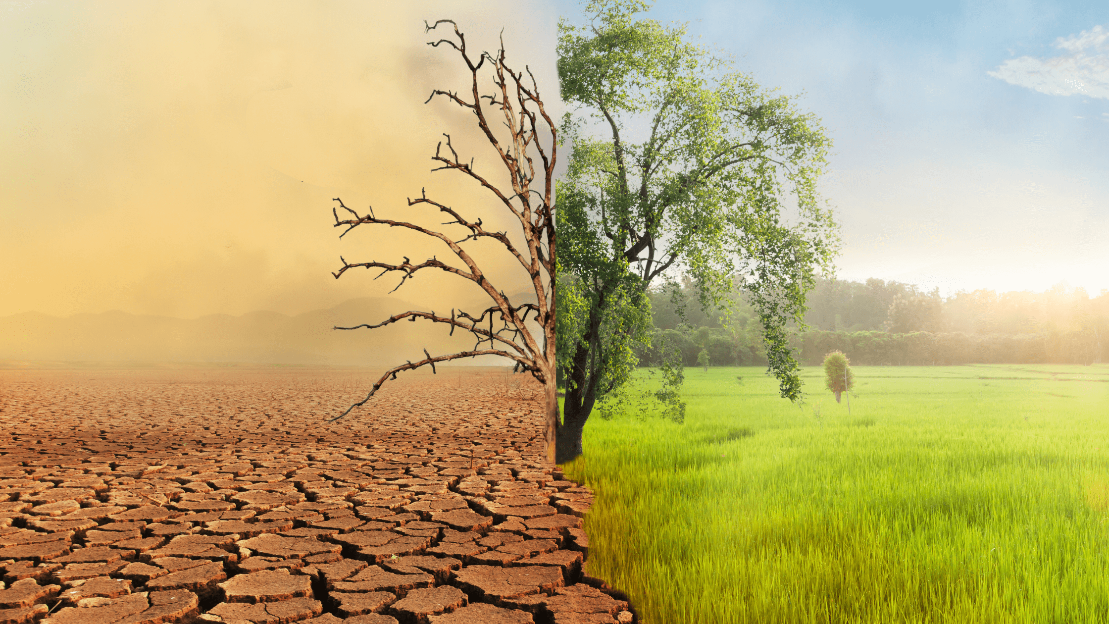 Climate Risk and Early Warning Systems